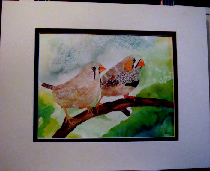 Yessy > JAN ADAMS > Birds - Frogs -Elephants > Two Zebra Finches in ...